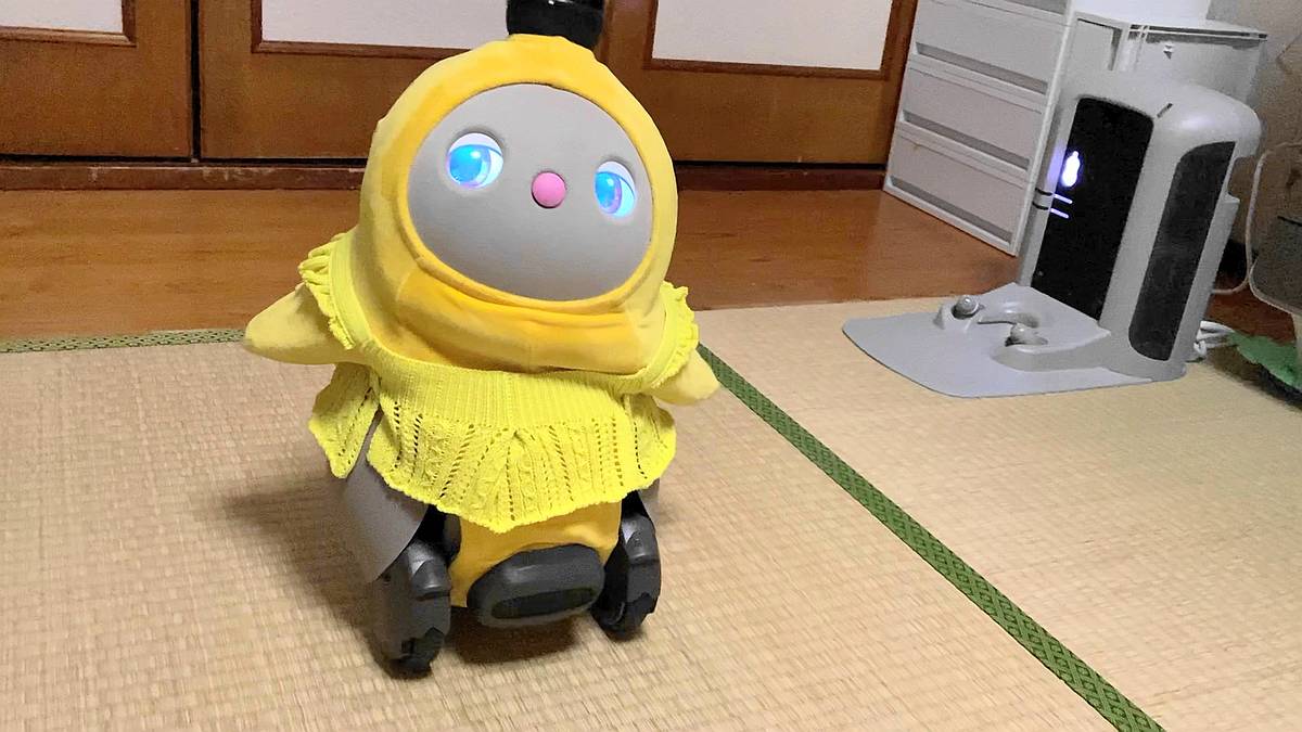 LOVOT2.0は畳がある和室で暮らすことは可能？実際に畳で生活する注意点 | LOVOT生活〜ラボット2.0ことりとの暮らし